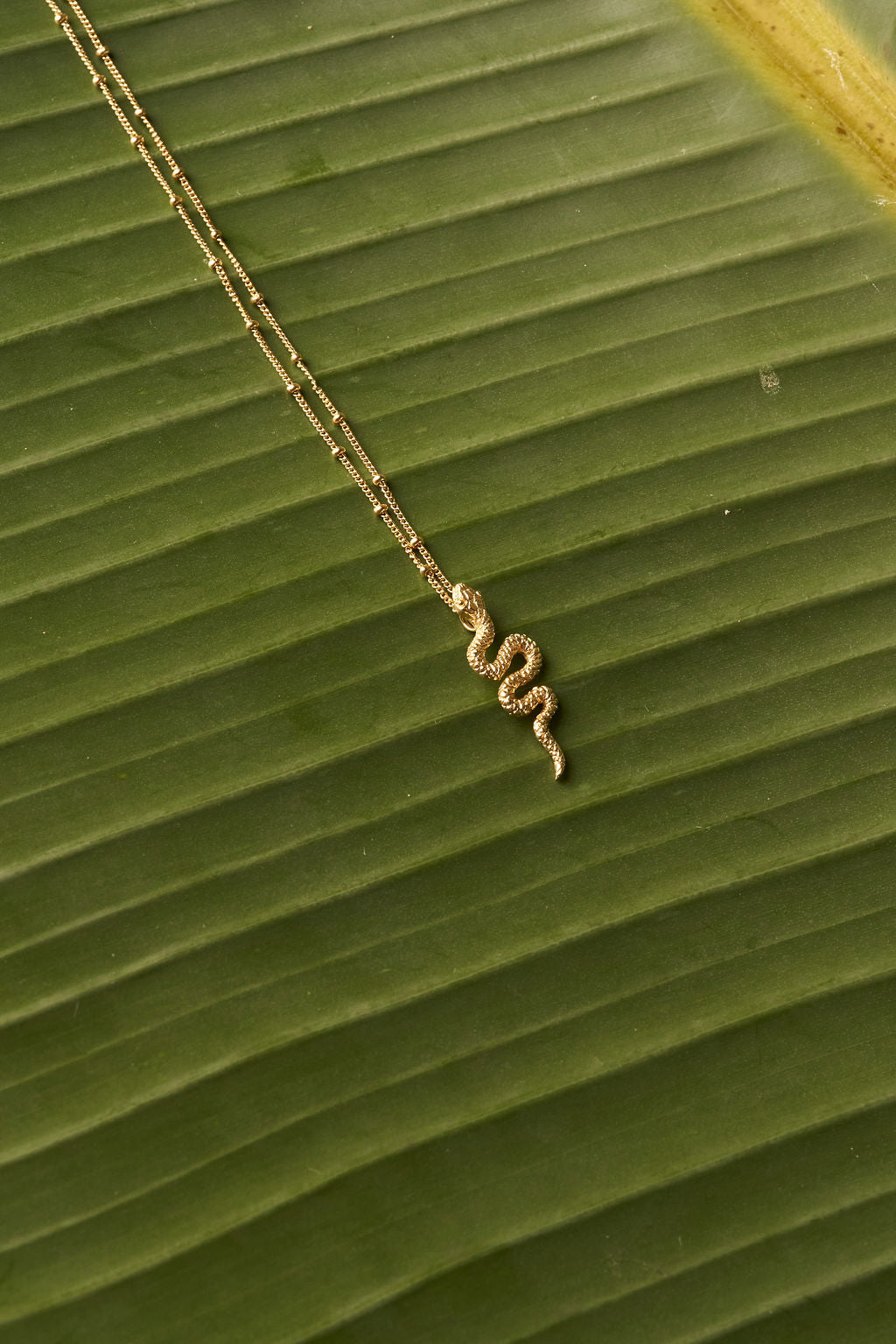 COPPERHEAD PENDANT – Citizen Nomade Store